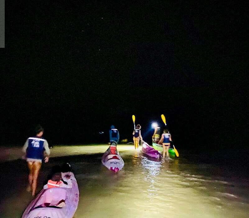 Holbox: Bioluminescence by Kayak and Stargazing. - A Detailed Look at the Tour Experience