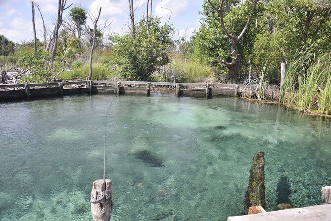 Holbox, Cenote & Two Island! + Punta Mosquito from Cancun - Final Thoughts