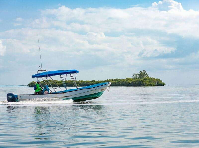 Holbox Discovery: Experience the Authentic Essence, Adventure, Taste and Relaxation - What Travelers Say