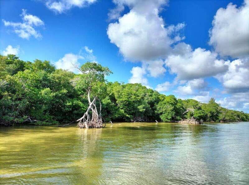 Holbox Discovery: Experience the Authentic Essence, Adventure, Taste and Relaxation - Who Will Love This Tour?