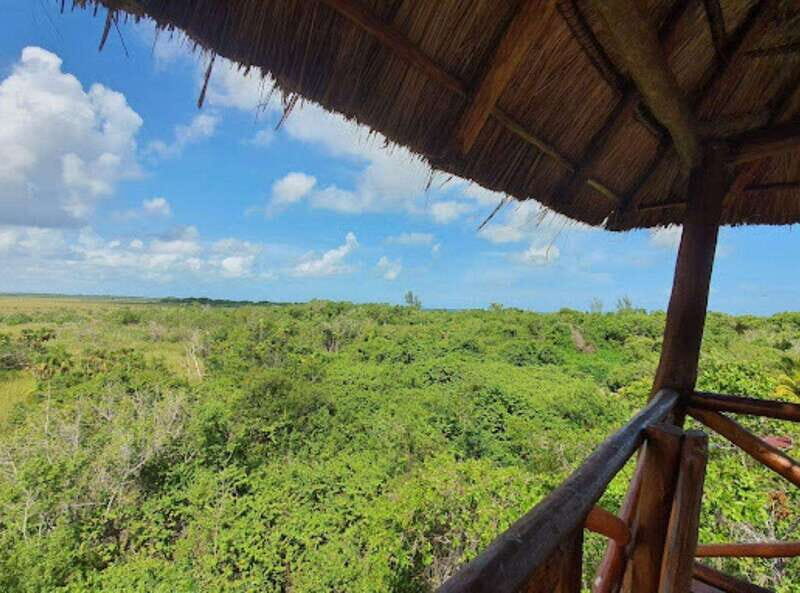 Holbox Discovery: Experience the Authentic Essence, Adventure, Taste and Relaxation - Final Thoughts