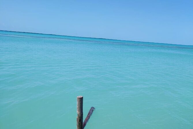 Holbox Exclusive Full Day Tour - Transportation and Group Size