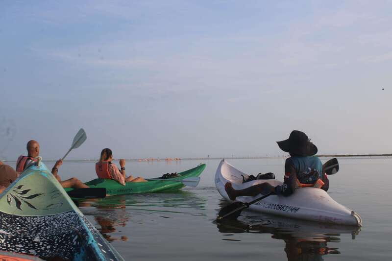 Holbox: Guided Sunrise/Sunset Kayak Tour by Mangrove Reserve - Practical Tips & Insights