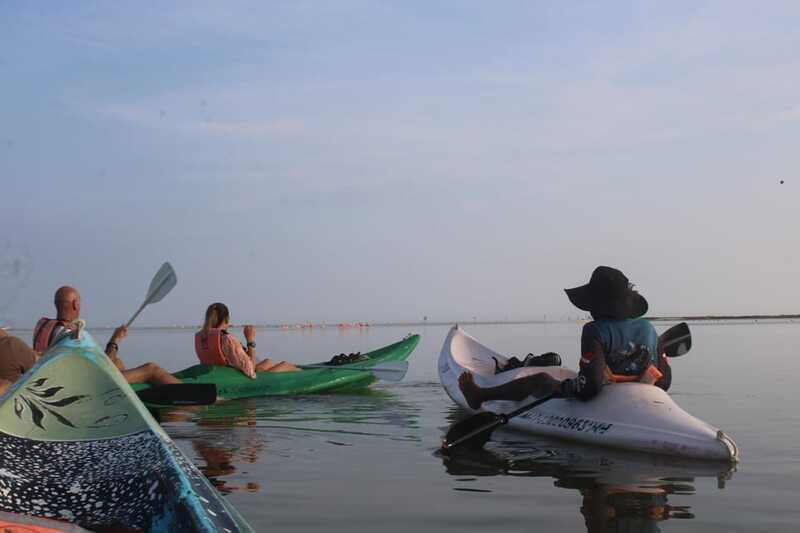 Holbox: Guided Sunrise/Sunset Kayak Tour by Mangrove Reserve - Why This Tour Is Worth Considering