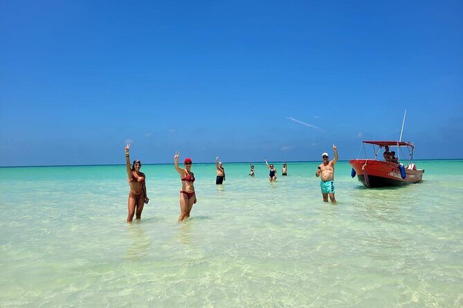 Holbox Island and Cenote Full Day Tour - Authentic Traveler Insights