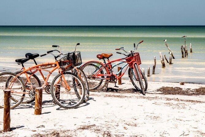 Holbox Island Deluxe Tour, all-day and complete excursion! - A Complete Breakdown of the Itinerary