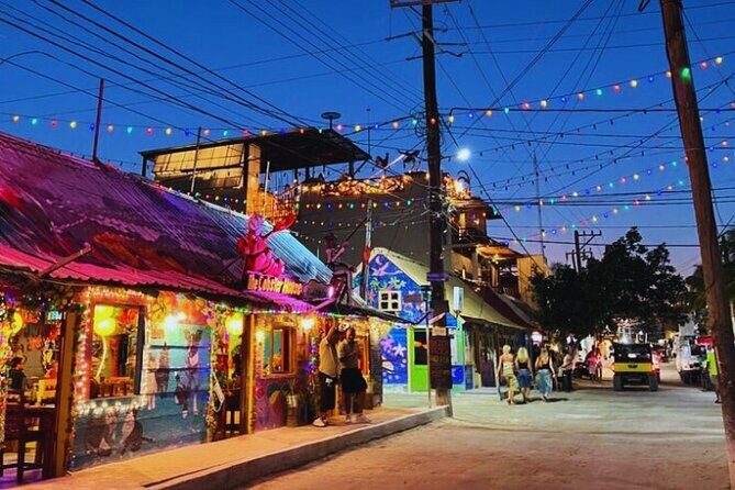 Holbox Island Experience with Lunch - Practical Tips for Your Day Out