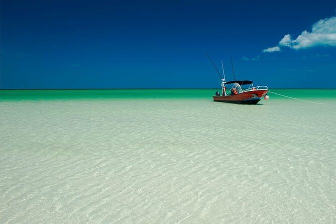 Holbox Island Full Day Trip with Lunch From Playa del Carmen - Who Is This Tour Best Suited For?