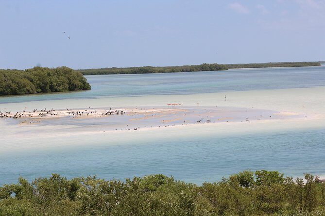 Holbox Island Tour From Cancun - Who Will Love This Tour?