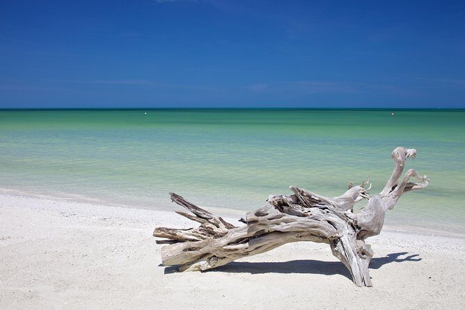 HOLBOX ISLAND TOUR - from Holbox (Private) - What’s Included & What’s Not
