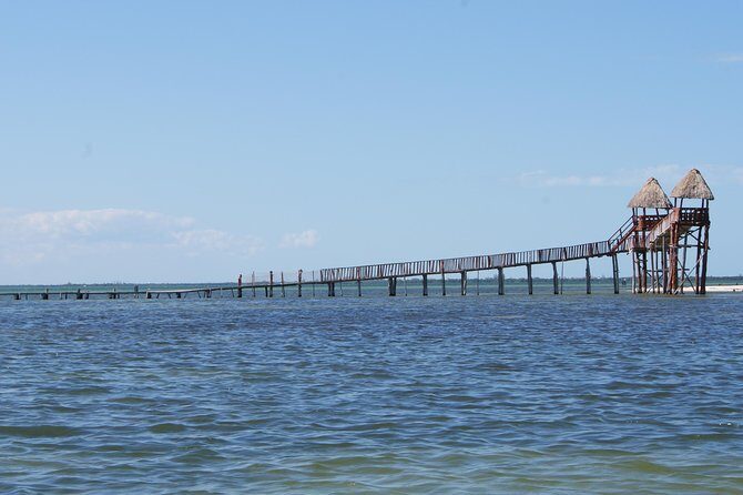 HOLBOX ISLAND TOUR - from Holbox (Private) - Comfort, Timing, and Booking