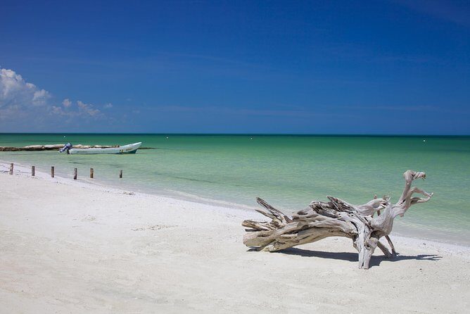 HOLBOX ISLAND TOUR - from Holbox (Private) - Who Will Love This Tour?