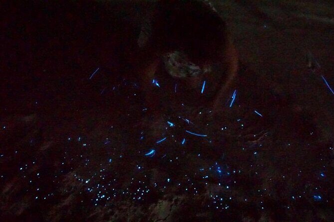 Holbox Kayak Bioluminescence Experience - The Breakdown of the Itinerary