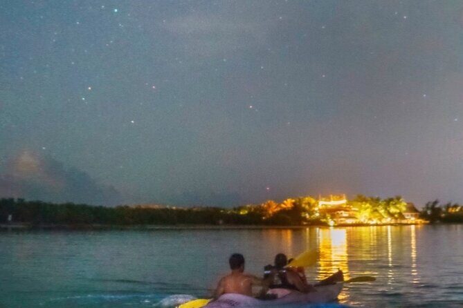 Holbox Kayak Bioluminescence Experience - Who Should Consider This Tour?