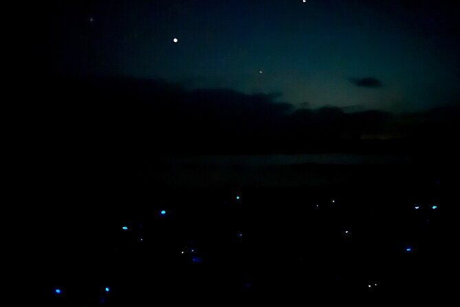 Holbox Kayak Bioluminescence Experience - FAQ