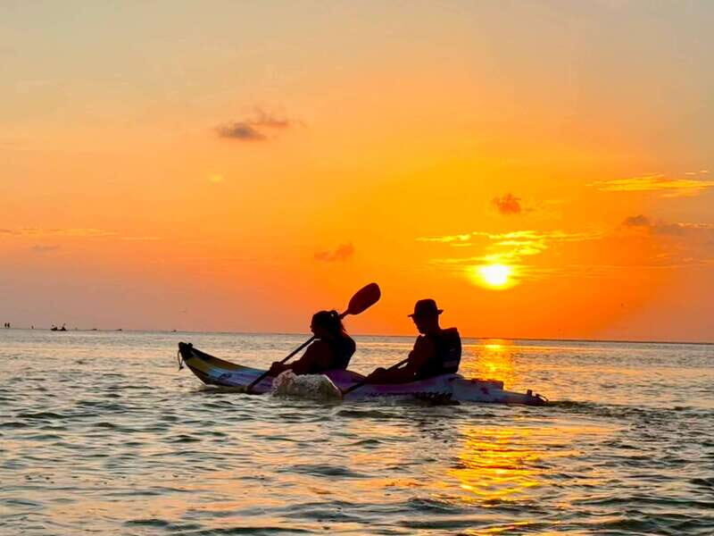 Holbox: Mangrove Sunset Kayak Tour - What Makes This Tour Stand Out?