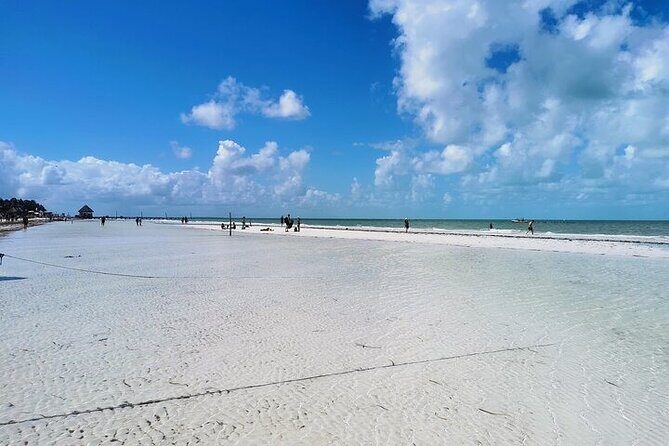 Holbox Punta Mosquito By Ferry only from Playa del Carmen - Who Should Consider This Tour?