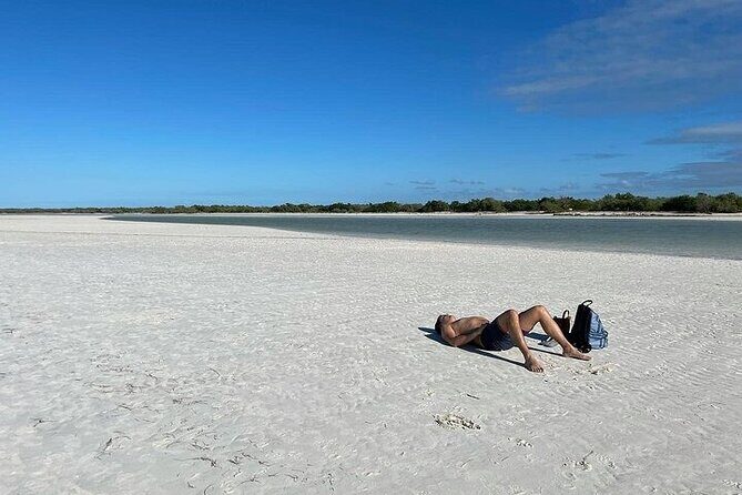 Holbox Punta Mosquito By Ferry only from Playa del Carmen - The Sum Up: Is This Tour Worth It?