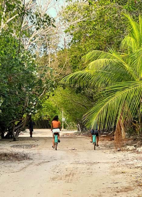Holbox Self-Guided Tour: Map, Bike, SUP, Coffee & Snack incl - Is This Tour Right for You?