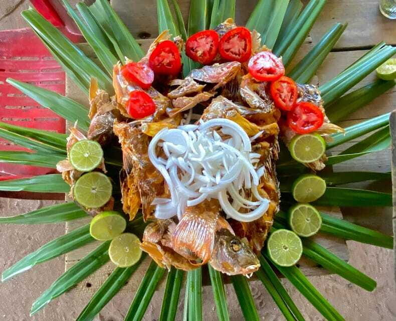 Holbox: Snorkeling, Fishing, and Ceviche Tour - Final Thoughts