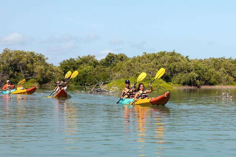 Holbox: Sunrise Kayak Tour through the Mangroves - An In-Depth Look at the Sunrise Kayak Tour
