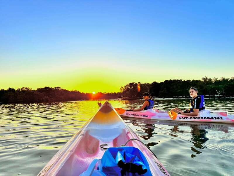 Holbox: Sunrise & Mangrove Kayak Tour - An In-Depth Look at the Experience