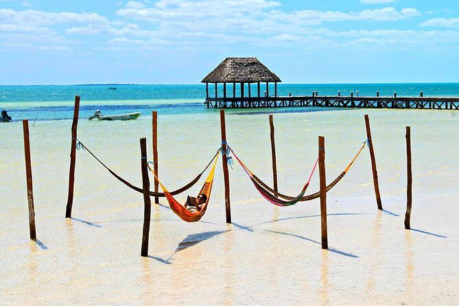Holbox The Living Dream by boat from Playa del Carmen - Authentic Experiences and Traveler Insights  