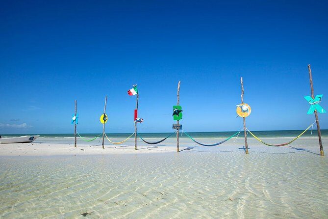 Holbox Tour - Island & Cenote from Cancun and Playa del Carmen - Frequently Asked Questions