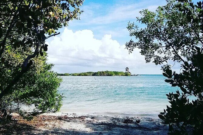 Holbox Tour! Nature Adventure from Cancun & Playa Del Carmen - Is This Tour Worth It?