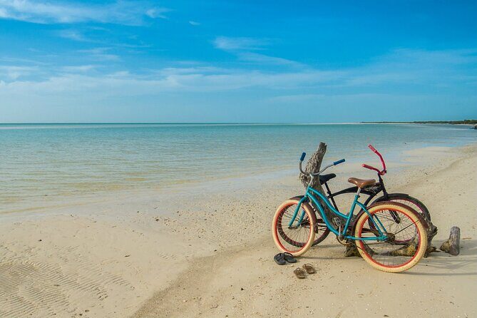 Holbox Tour! Nature Adventure from Cancun & Playa Del Carmen - Who Should Consider This Tour?