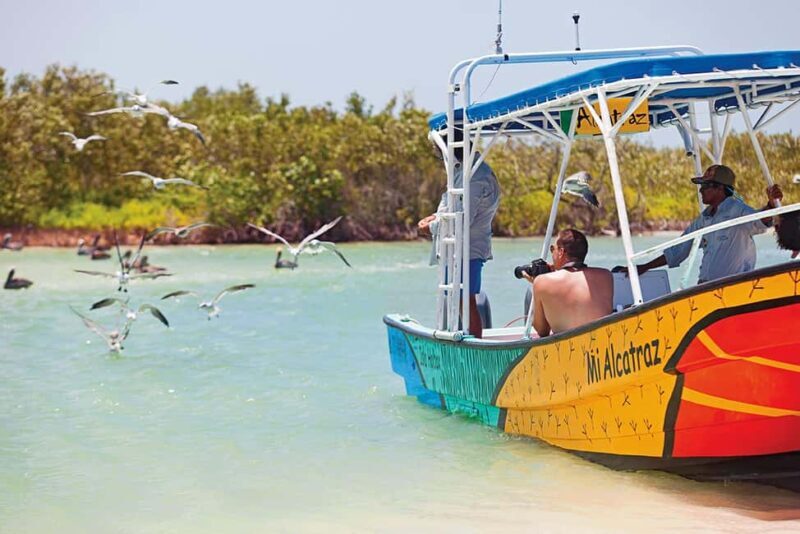 Holbox: Traditional Fishing Tour with Ceviche Tasting - Key Points