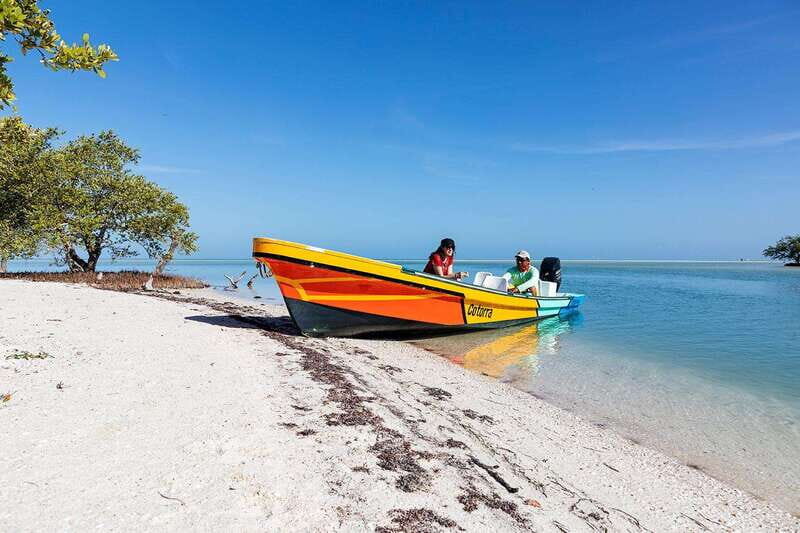 Holbox: Yalahau, Passion Island and Punta Mosquito Boat Tour - Final Thoughts