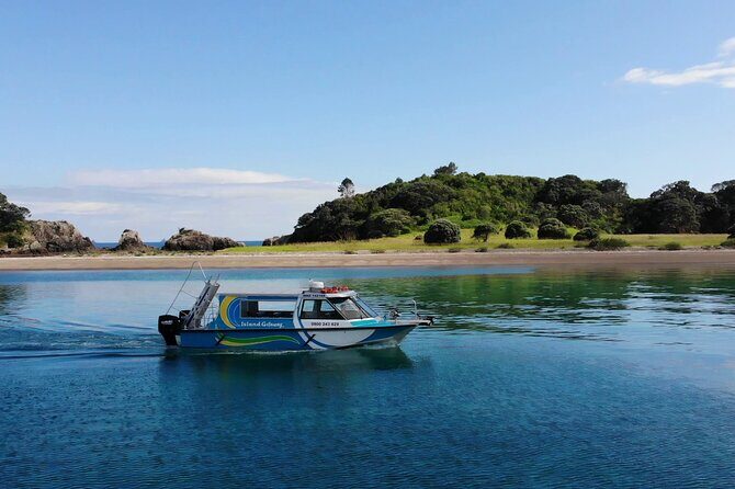 Hole in the Rock Cruise & Island Stopover (Half Day) - What Travelers Love About This Tour