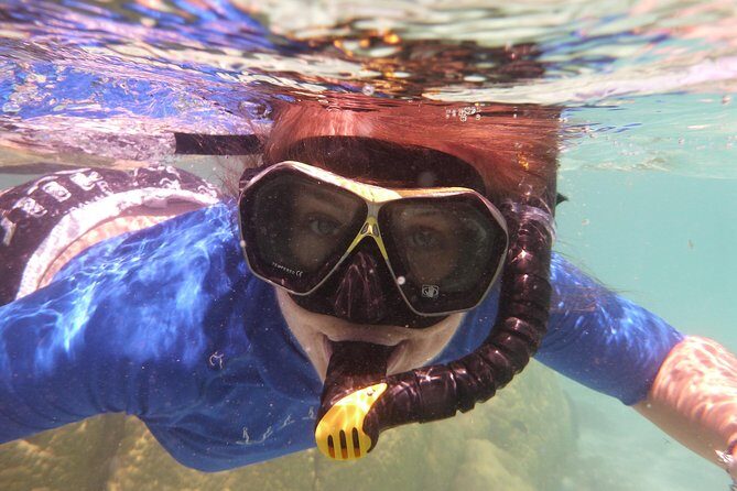 Hole in the Rock Cruise & Island Tour - with two island stopovers - What Travelers Are Saying