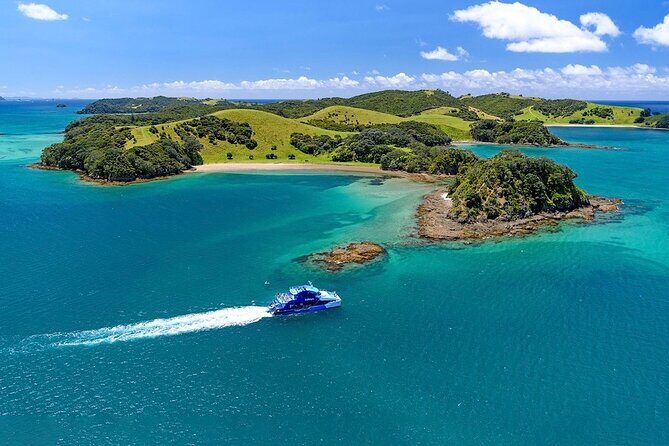 Hole in the Rock Dolphin Cruise Tour Round Trip from Auckland - Key Points