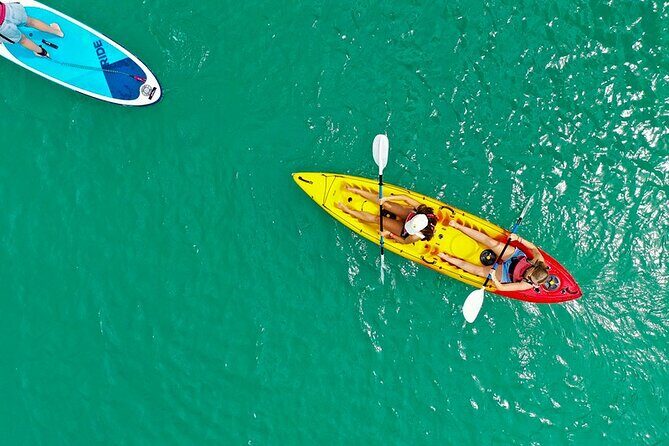 Hole in the Rock Dolphin Cruise Tour Round Trip from Auckland - A Practical Overview of the Experience