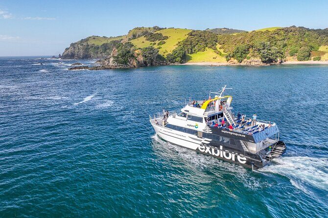 Hole in the Rock Dolphin Cruise Tour Round Trip from Auckland - Who Will Love This Tour?