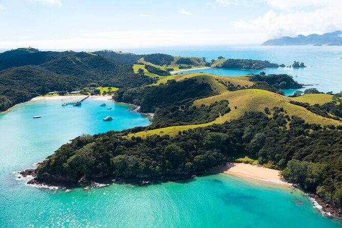 Hole in the Rock Scenic Cruise including Dolphins and Island stop - Who Is This Tour Best For?