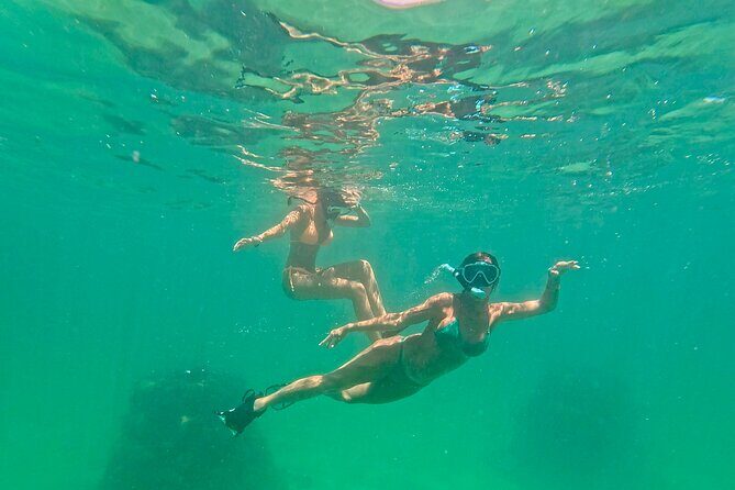 Hollywood Snorkel, Kayak & Paddleboard with Reefs and Sculptures - Final Thoughts