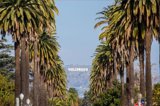 Hollywood Walk OF Fame Experience and Sightseeing - The Sum Up: Is This Tour Worth It?