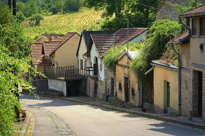 Home to Bull's Blood red wine! Eger with winetaste private tour - Frequently Asked Questions