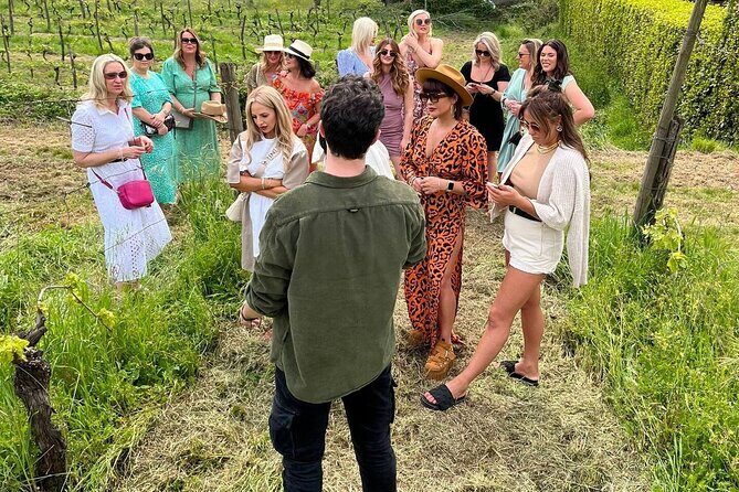 Honest Wines- Wine tasting at Cantina Biagiotti - The Experience That Awaits You