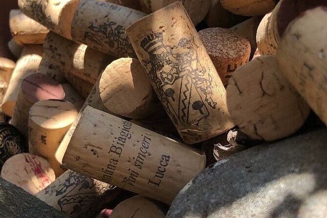 Honest Wines- Wine tasting at Cantina Biagiotti - Who Would Love This Experience?