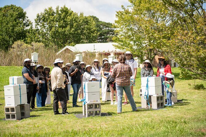 Honey Farm Tour. Morning Tea. Guided Tasting - Key Points