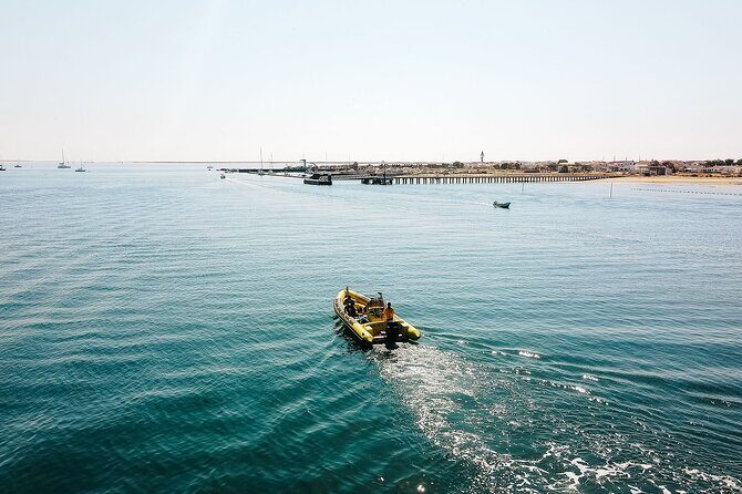 Hop On Hop Off 3 Islands: Deserta, Farol and Culatra - What to Expect at Each Island  