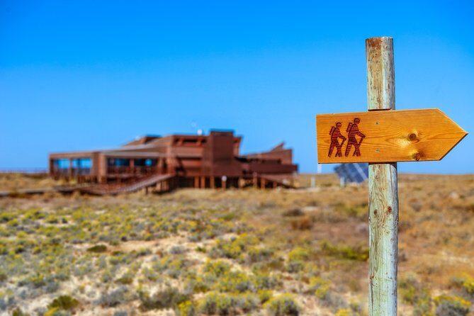 Hop On Hop Off 3 Islands: Deserta, Farol and Culatra - Final Thoughts: Is This Tour for You?  