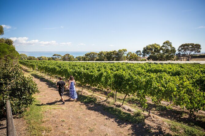 Hop On Hop Off Bellarine Bellarine Peninsula - The Sum Up: Who Is This Tour Perfect For?