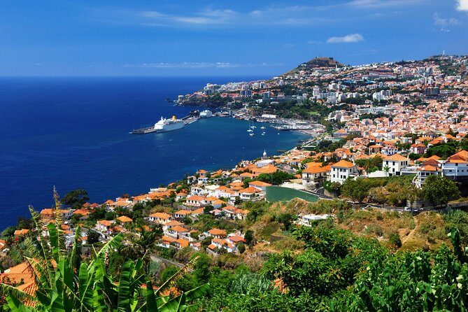 Hop-on Hop-off Bus Tour and Catamaran Whale & Dolphin Watching - Exploring Funchal via Hop-on Hop-off Bus