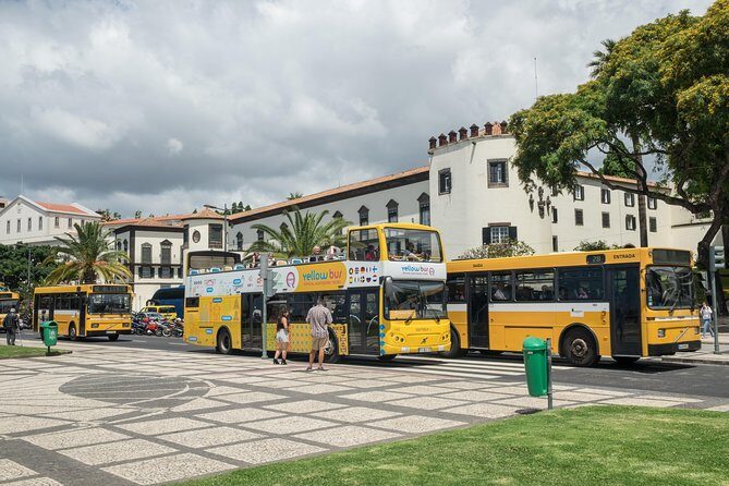 Hop-on Hop-off Bus Tour and Catamaran Whale & Dolphin Watching - What You Get and What You Don’t