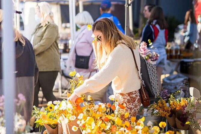 Hop on Hop off - Tamborine Rainforest Skywalk + Glow Worm Caves - Authentic Experiences and Hidden Gems